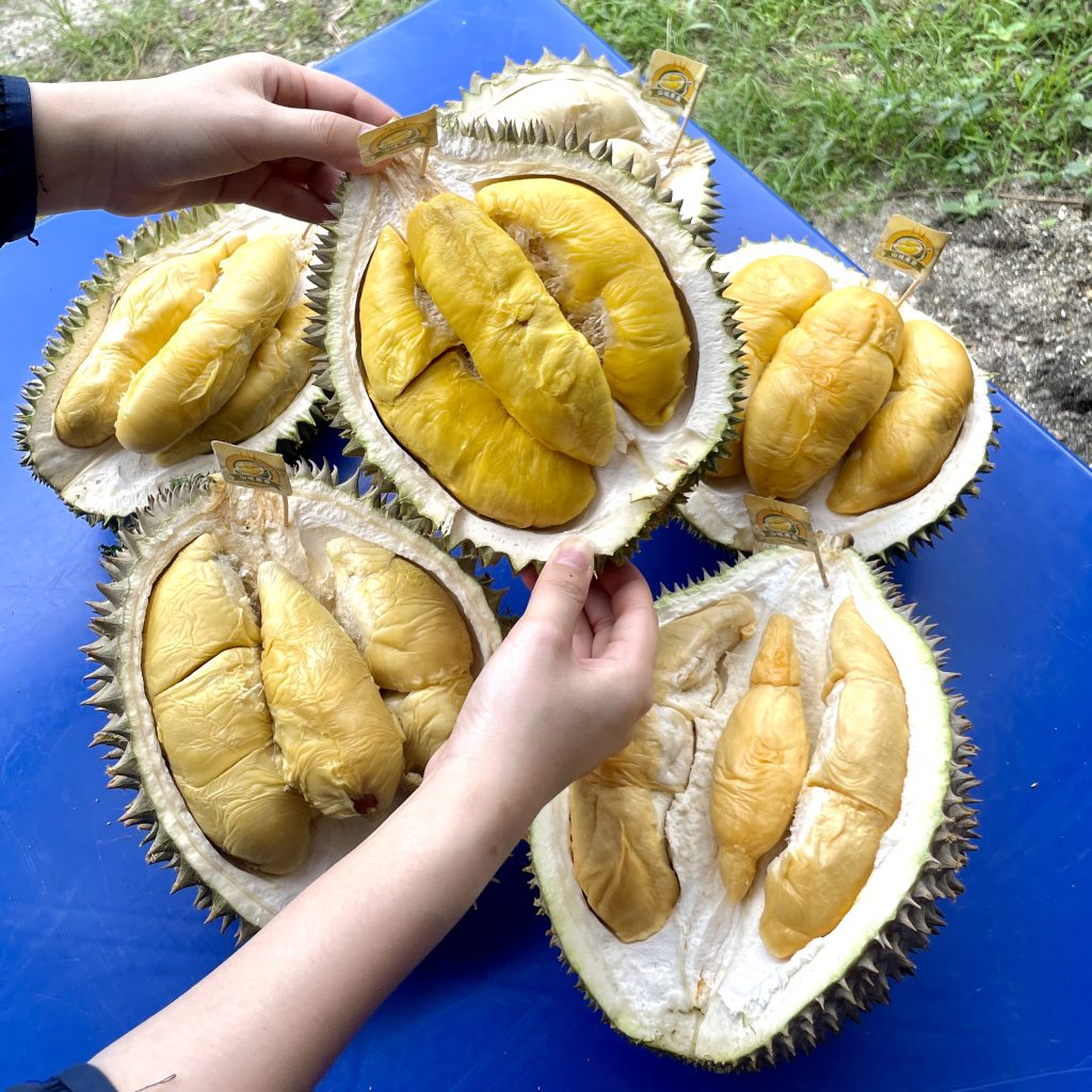 5 Must-Visit Spots For Creamy Durians In Penang (2025 Edition) - Penang ...