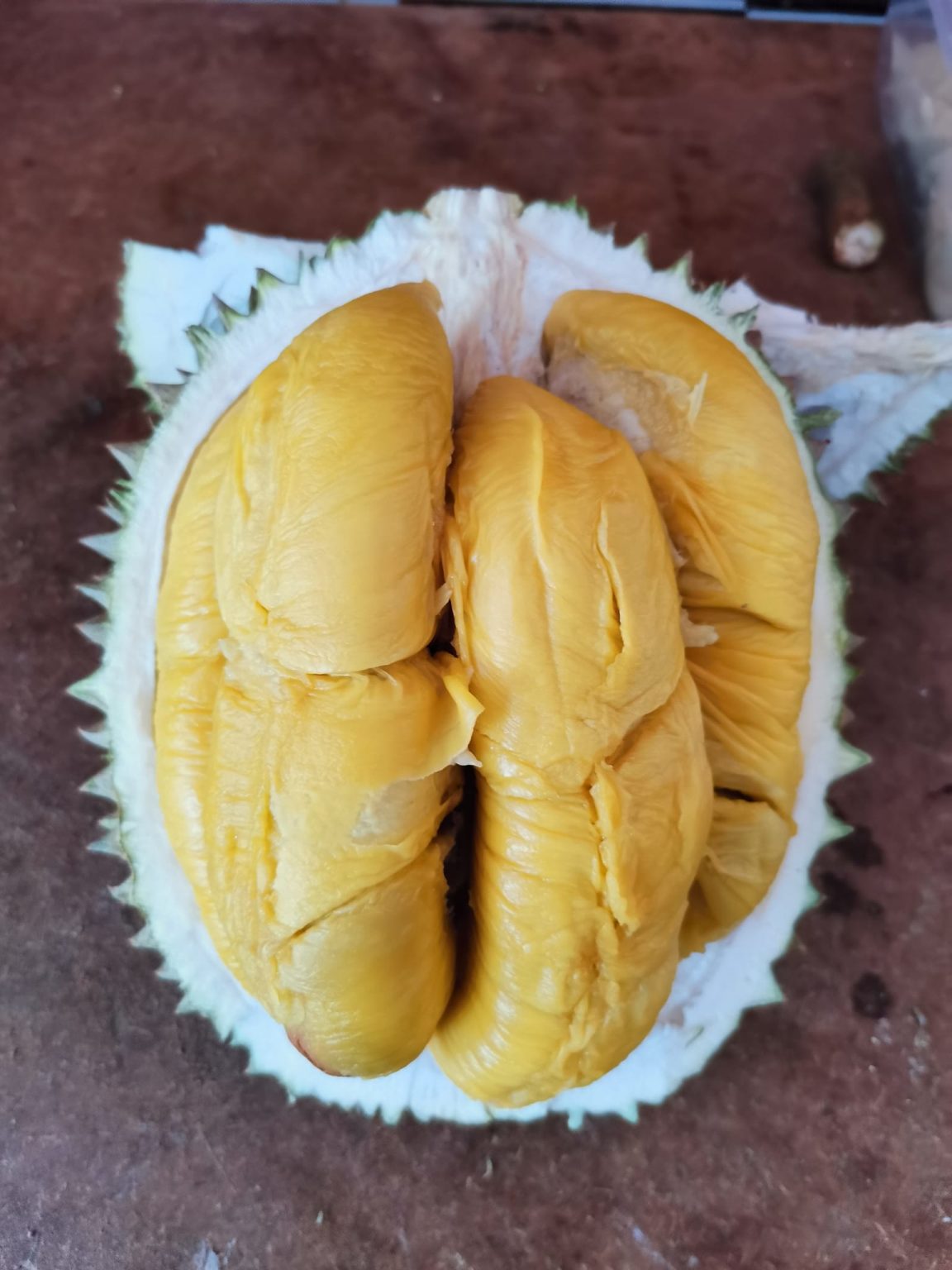 5 Must-Visit Spots For Creamy Durians In Penang (2025 Edition) - Penang ...