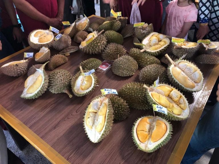 5 Must-Visit Spots For Creamy Durians In Penang (2025 Edition) - Penang ...