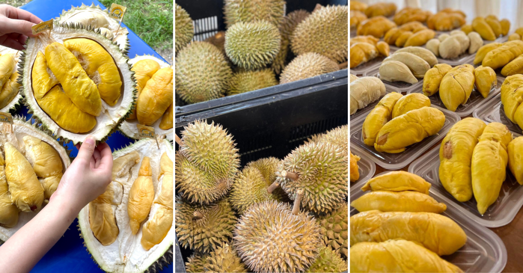 9 Awesome Food To Try At Cecil Street Market - Penang Foodie